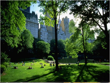 Upper East Side i Central Park :: Guia dels Estats Units per a joves